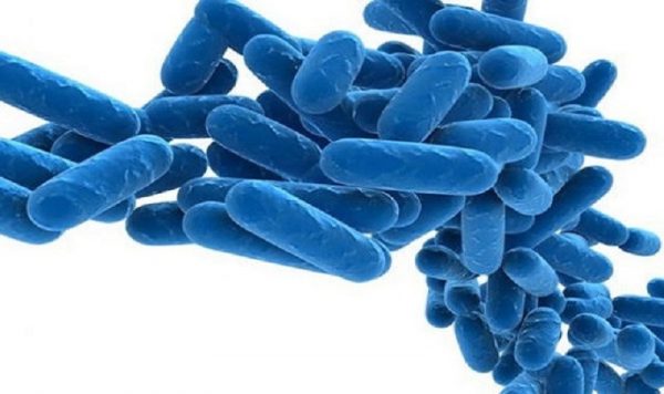 Legionella - Cranbrook College